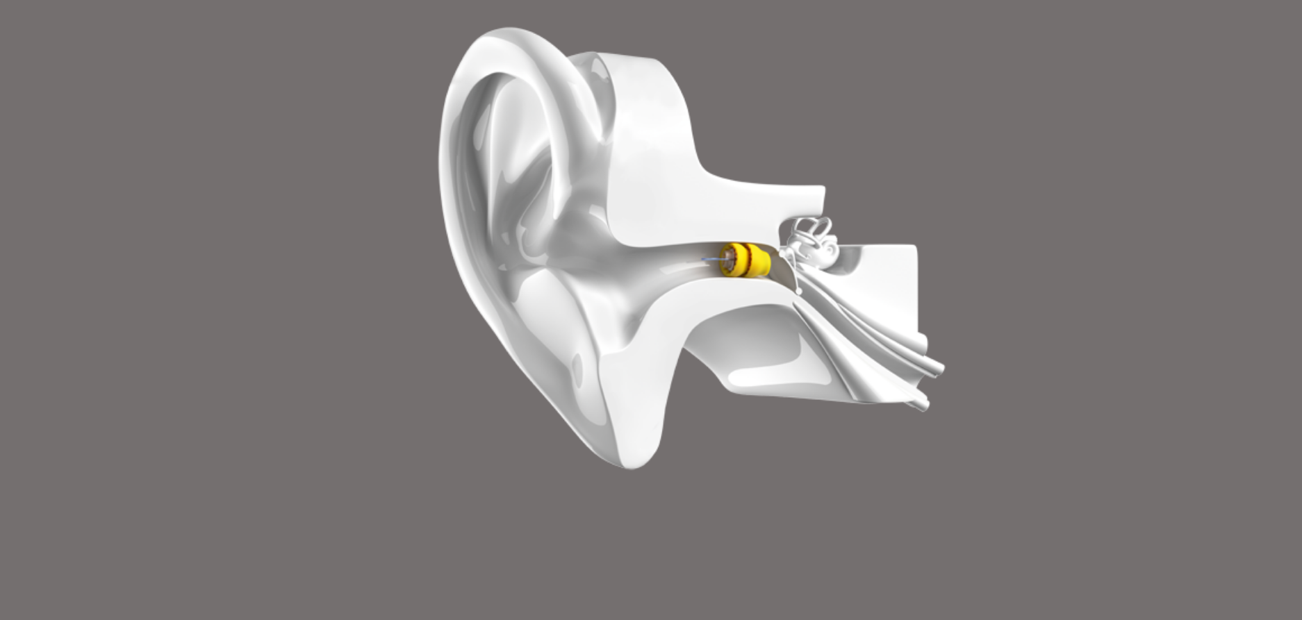 User Guide | Harley Street Hearing